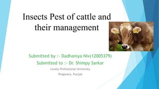 Insect pest of cattle and their management | PPTX