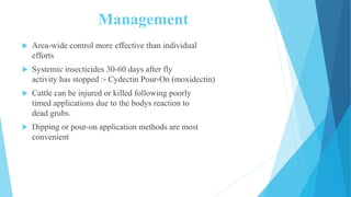 Insect pest of cattle and their management | PPTX