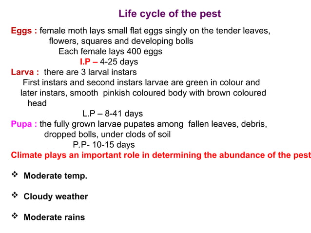 INSECT PEST OF COTTON AND THEIR MANAGEMENT | PPT
