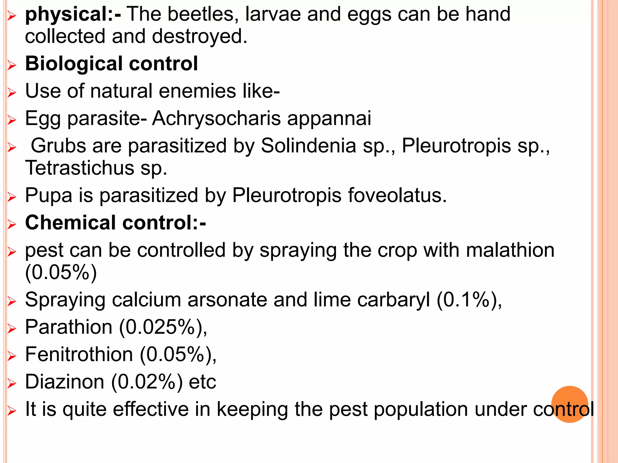 Insect Pests of Vegetable, Ornamental and Spice Crops | PPTX
