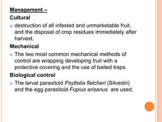 Insect Pests of Vegetable, Ornamental and Spice Crops | PPTX