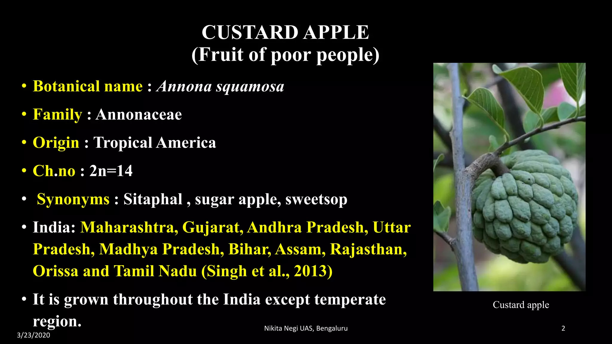 Insect pest of custard apple and wood apple | PPTX