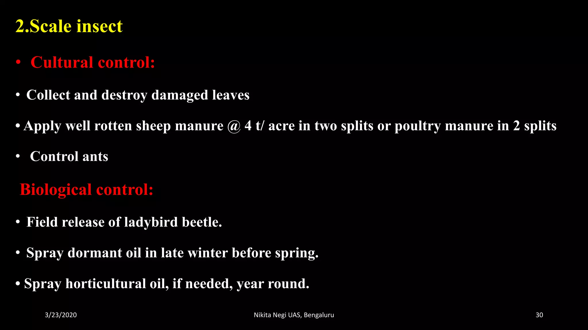 Insect pest of custard apple and wood apple | PPTX