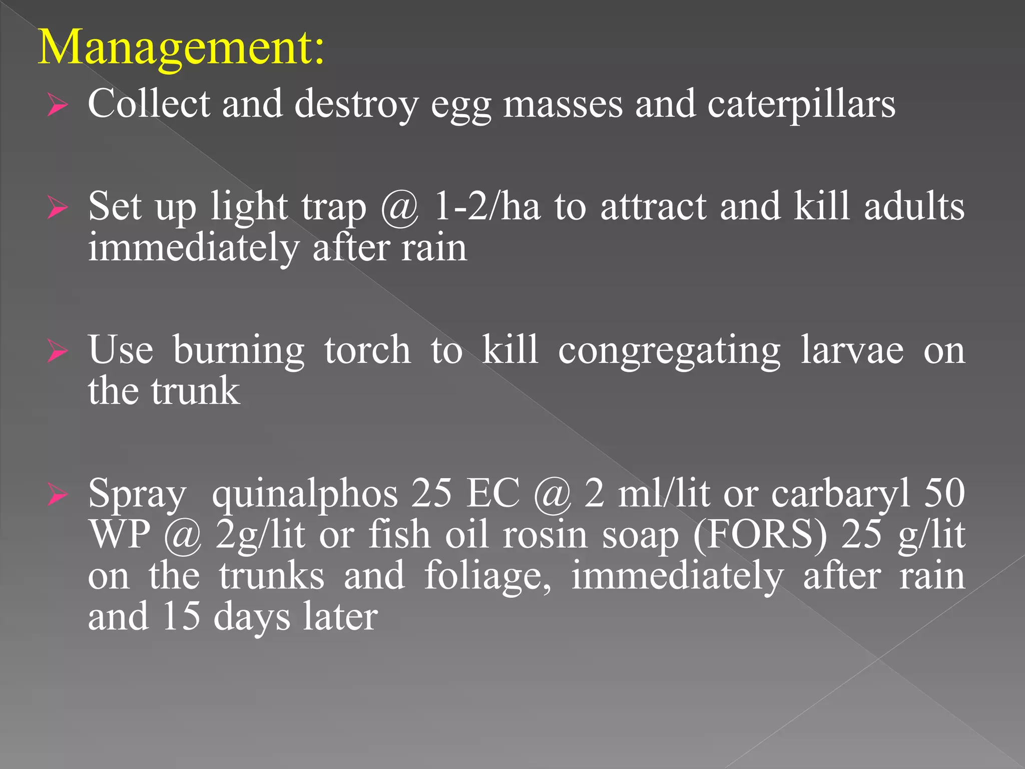 Insect pest of drumstick | PPTX