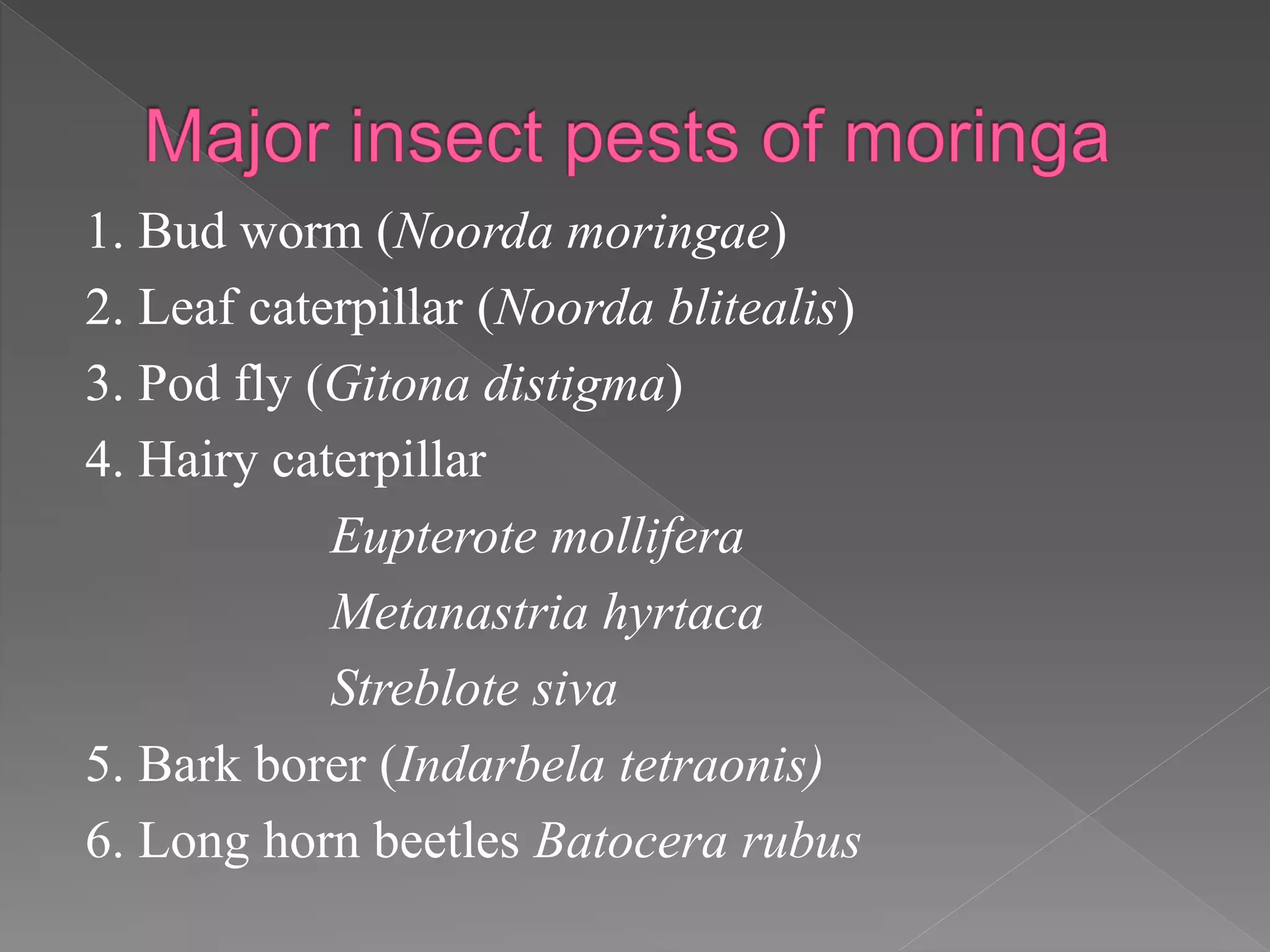 Insect pest of drumstick | PPTX