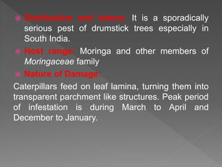Insect pest of drumstick | PPTX