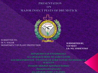 Insect pest of drumstick | PPTX