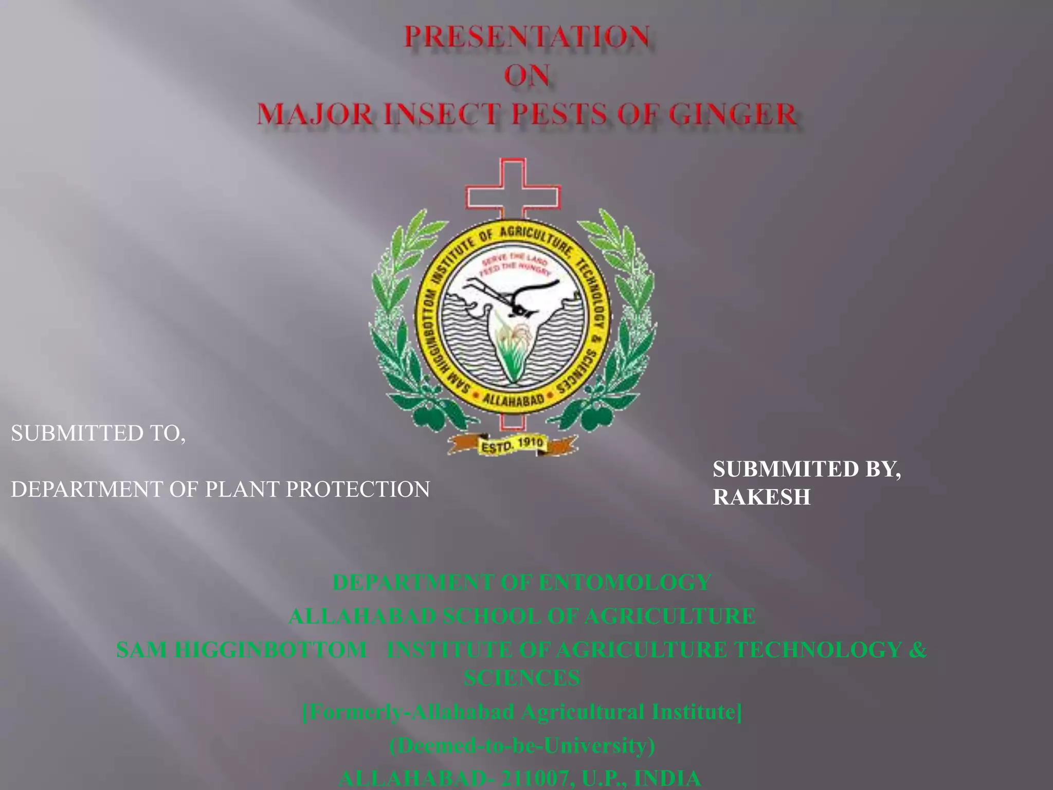 Insect pest of gingeR | PPTX