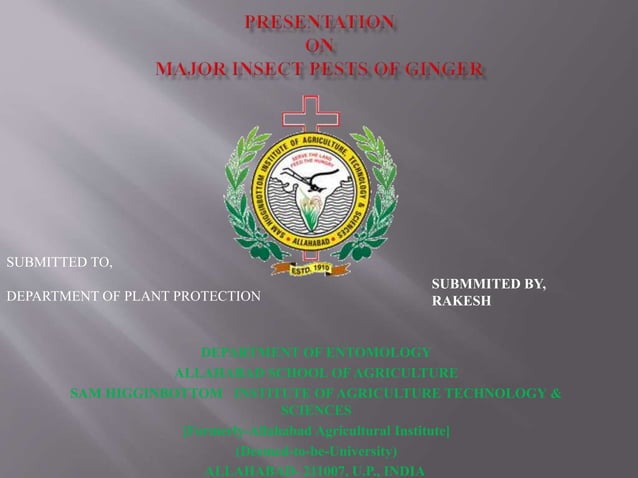 Insect pest of gingeR | PPTX