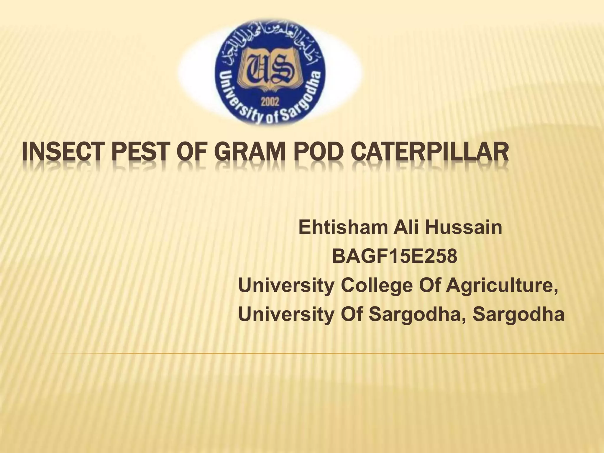 Insect pest of gram pod caterpillar | PPTX