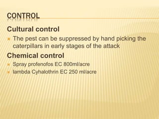 Insect pest of gram pod caterpillar | PPTX