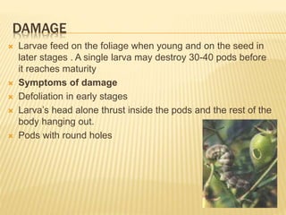 Insect pest of gram pod caterpillar | PPT