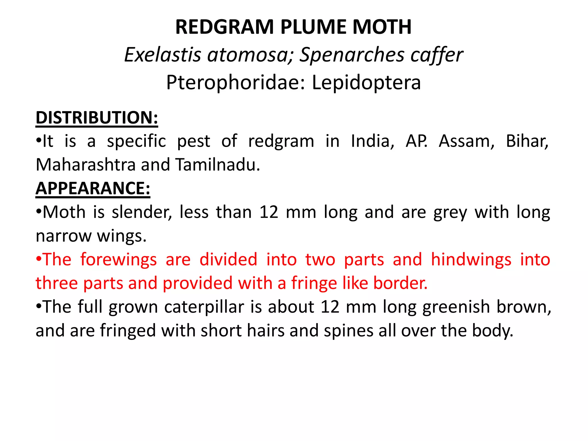 Insect pest of red gram | PPTX