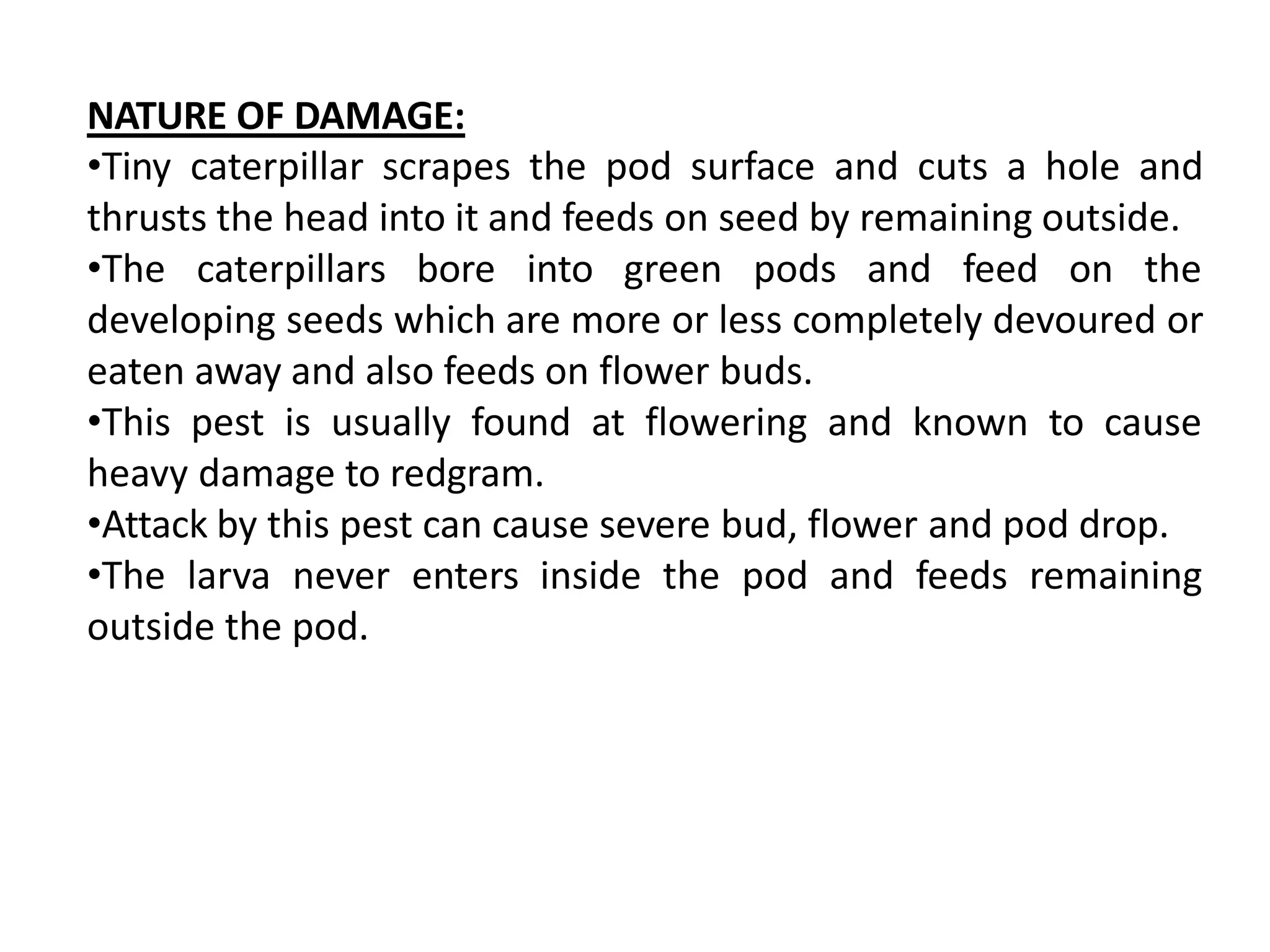 Insect pest of red gram | PPTX