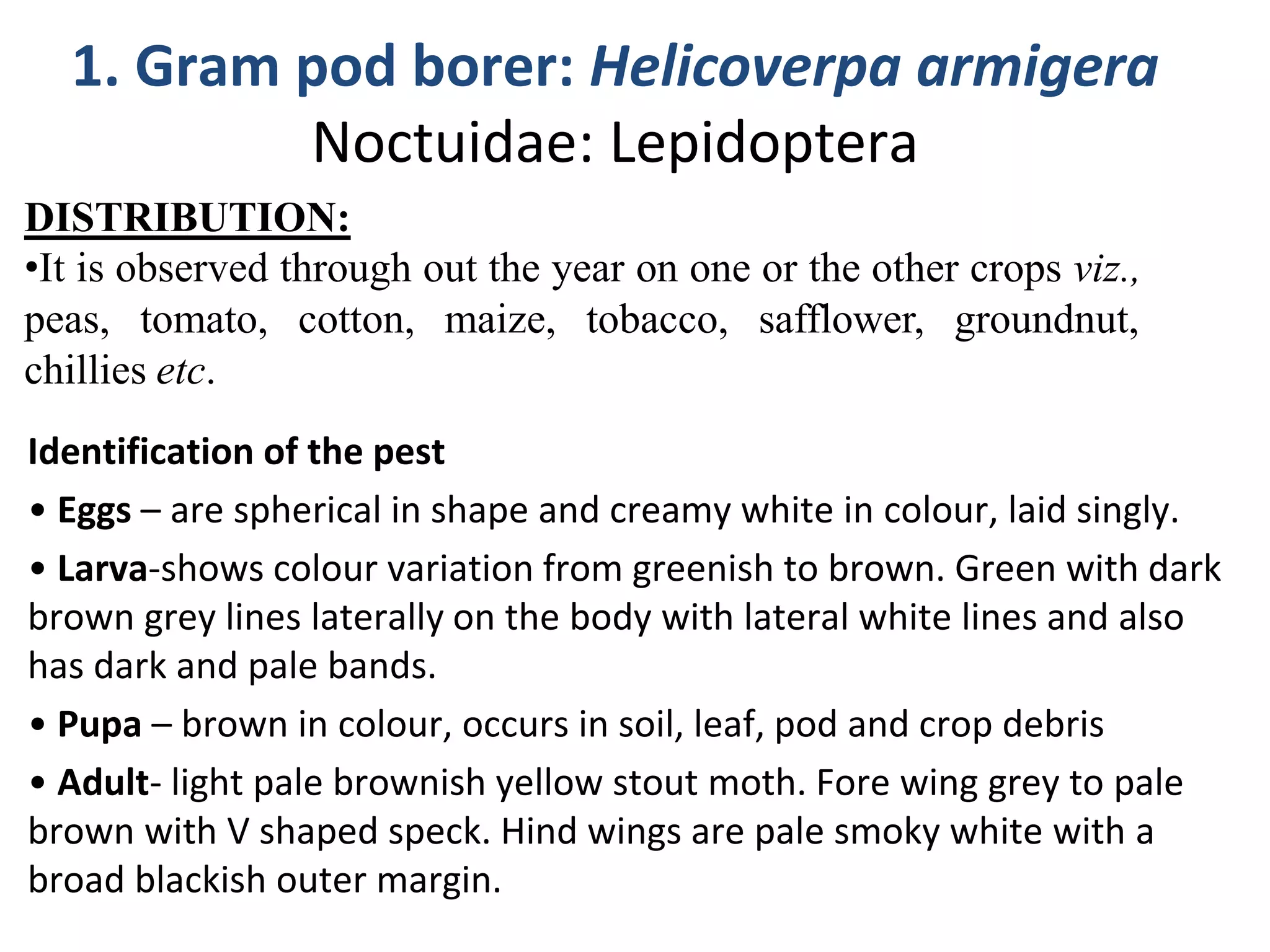 Insect pest of red gram | PPTX