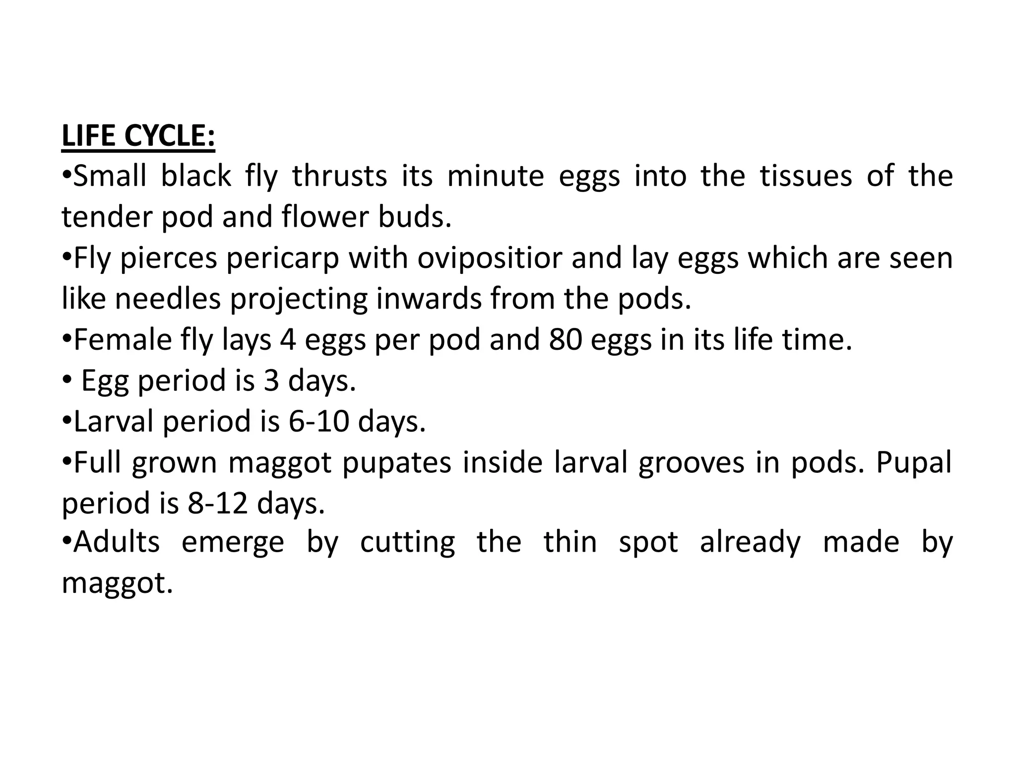Insect pest of red gram | PPTX