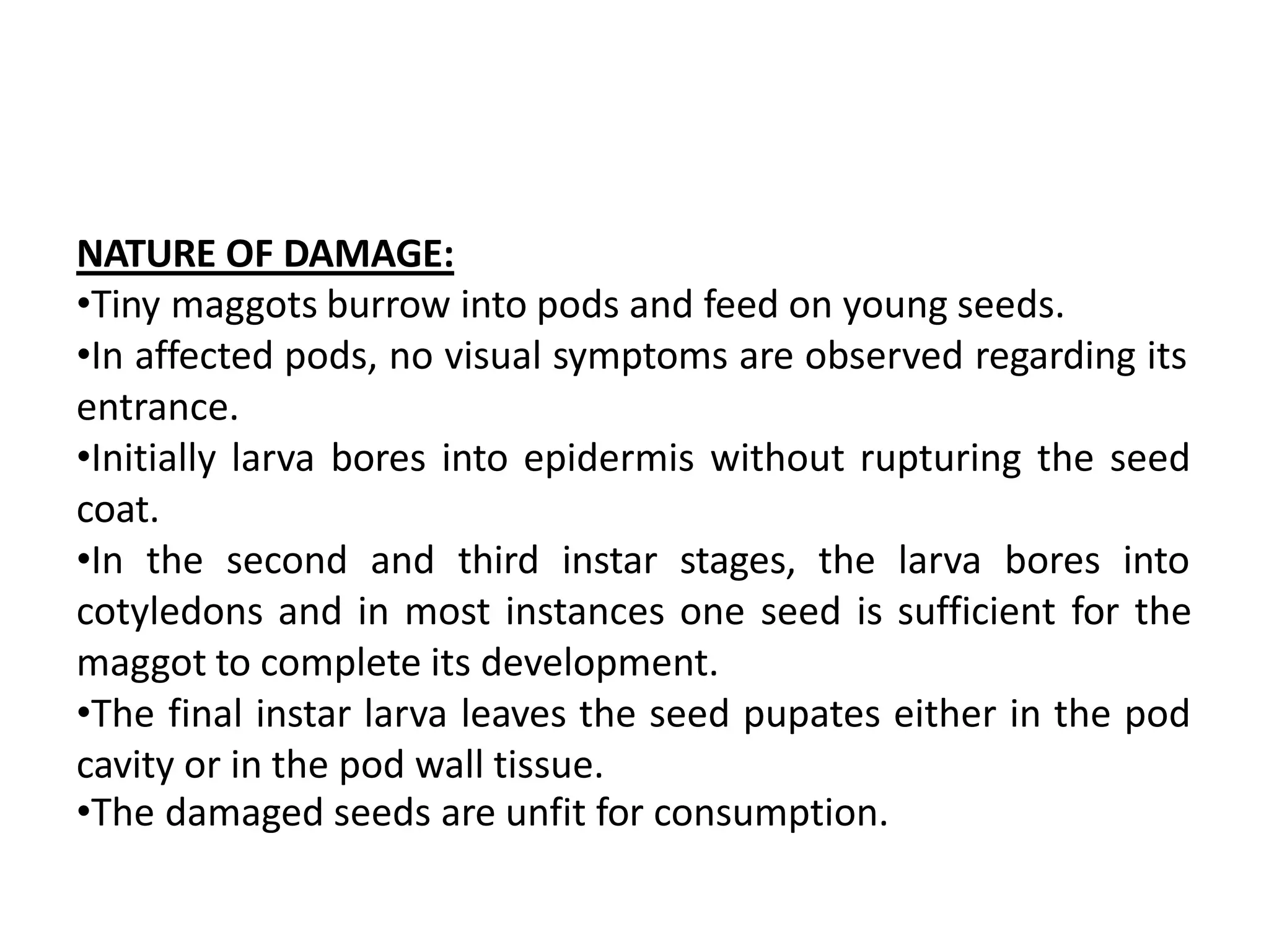 Insect pest of red gram | PPTX