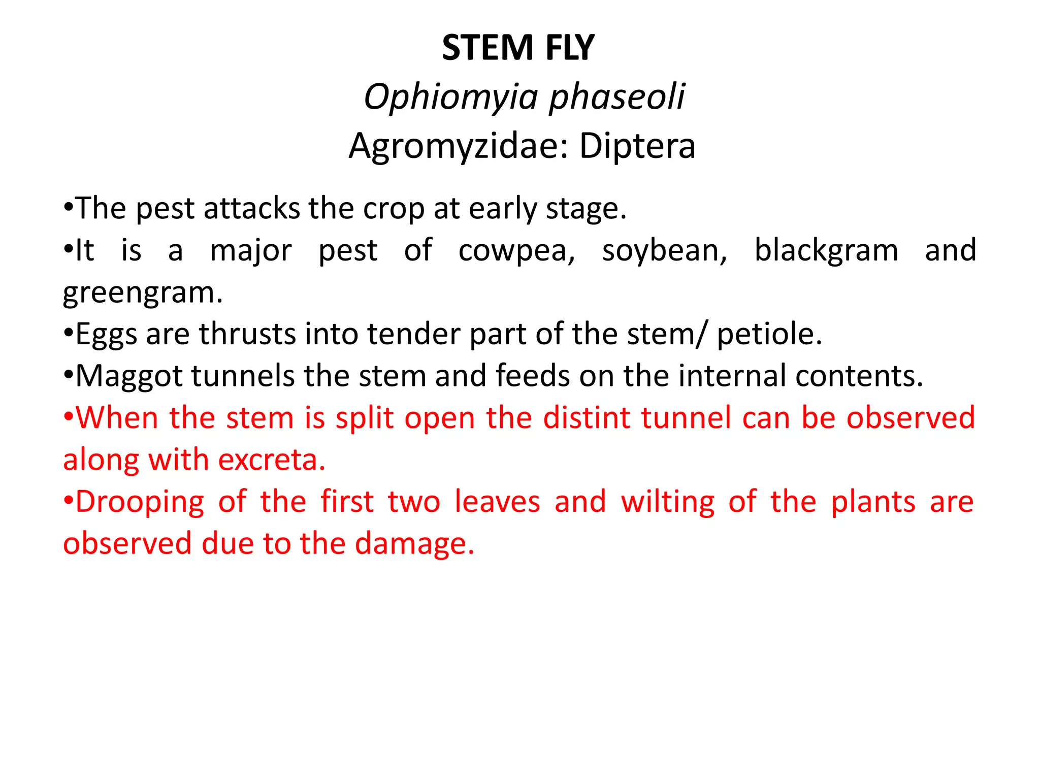 Insect pest of red gram | PPTX