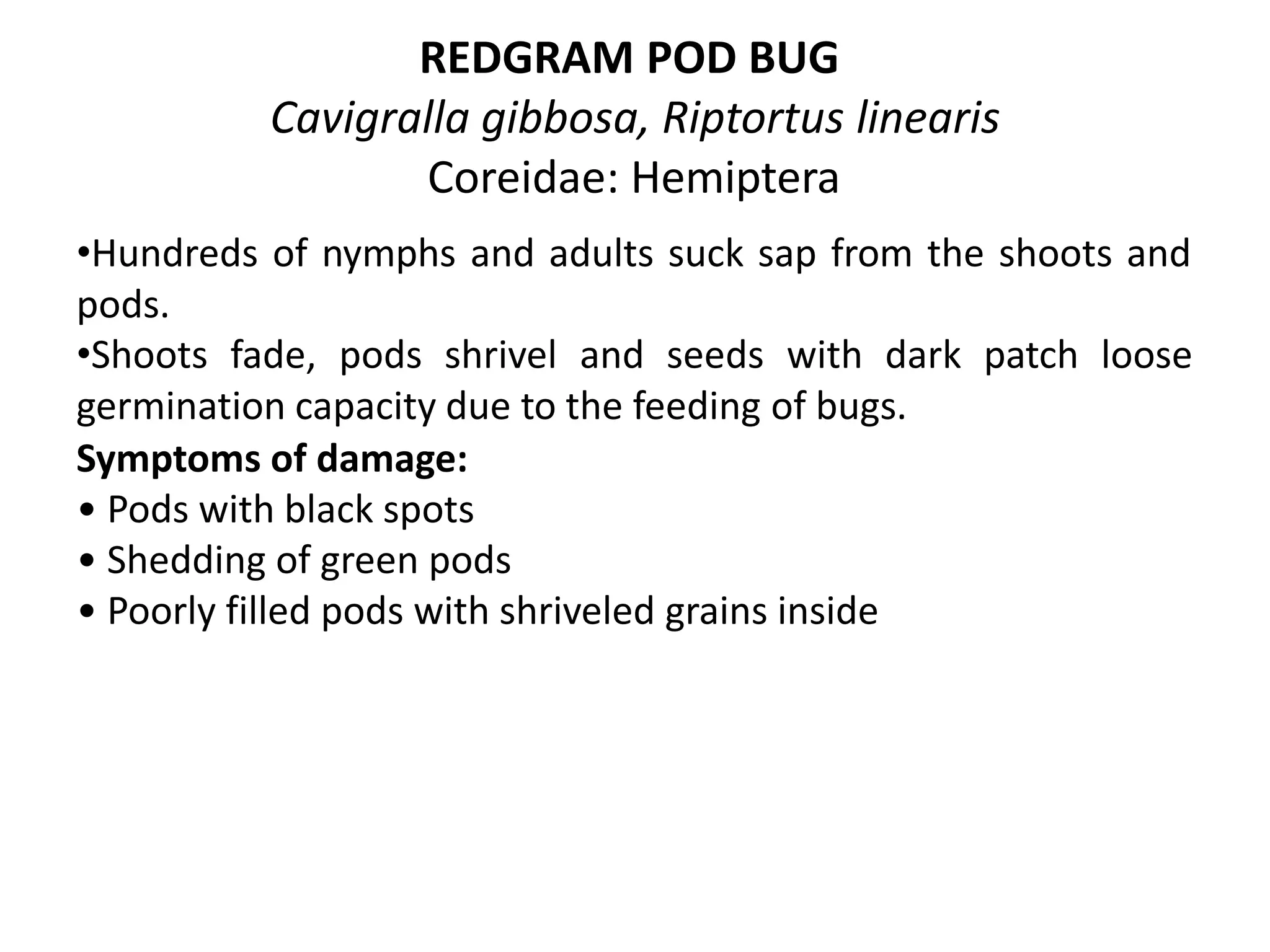 Insect pest of red gram | PPTX