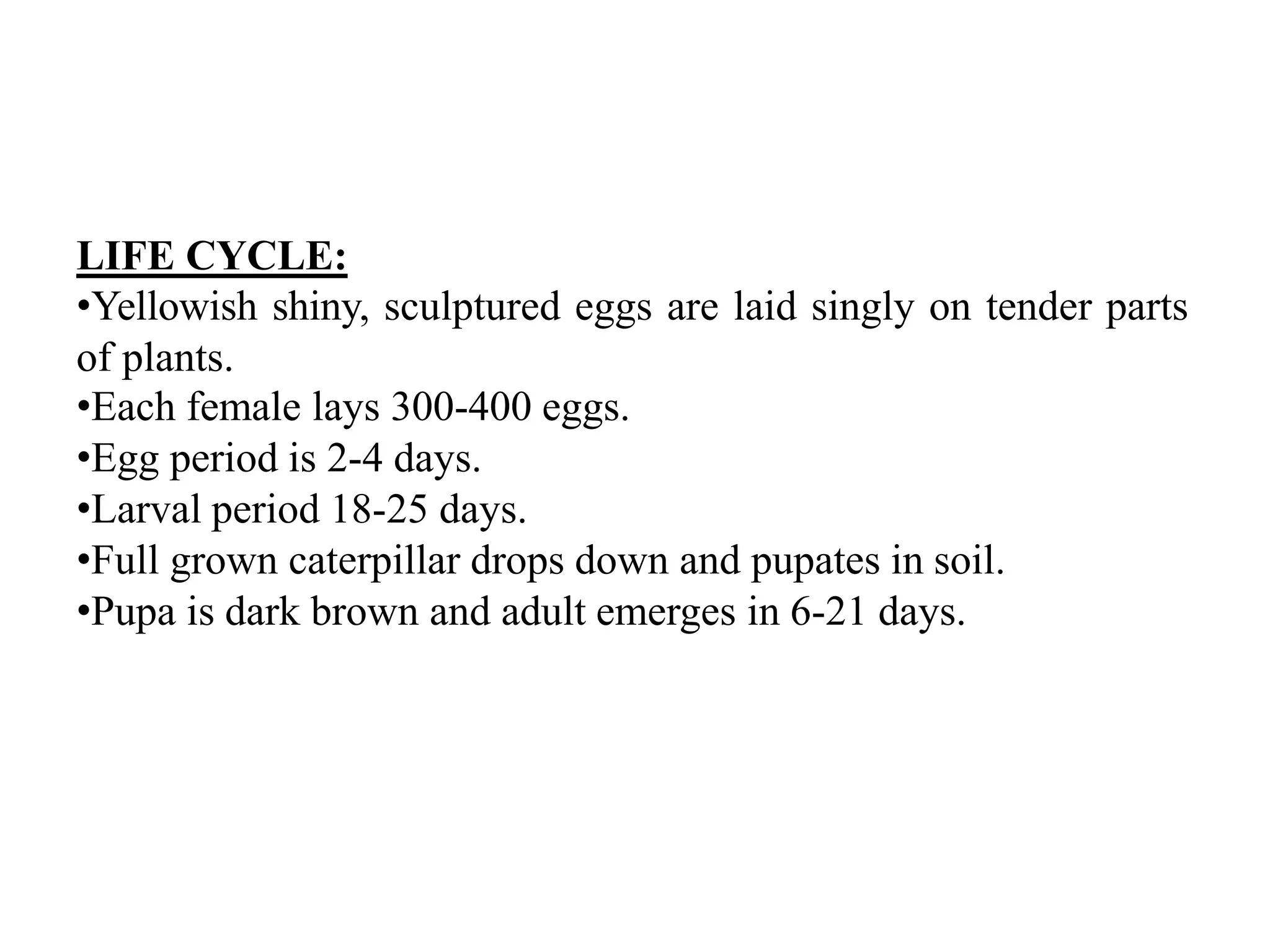 Insect pest of red gram | PPTX