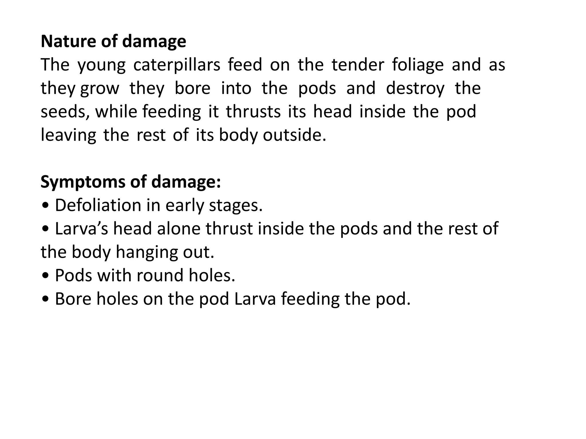 Insect pest of red gram | PPTX