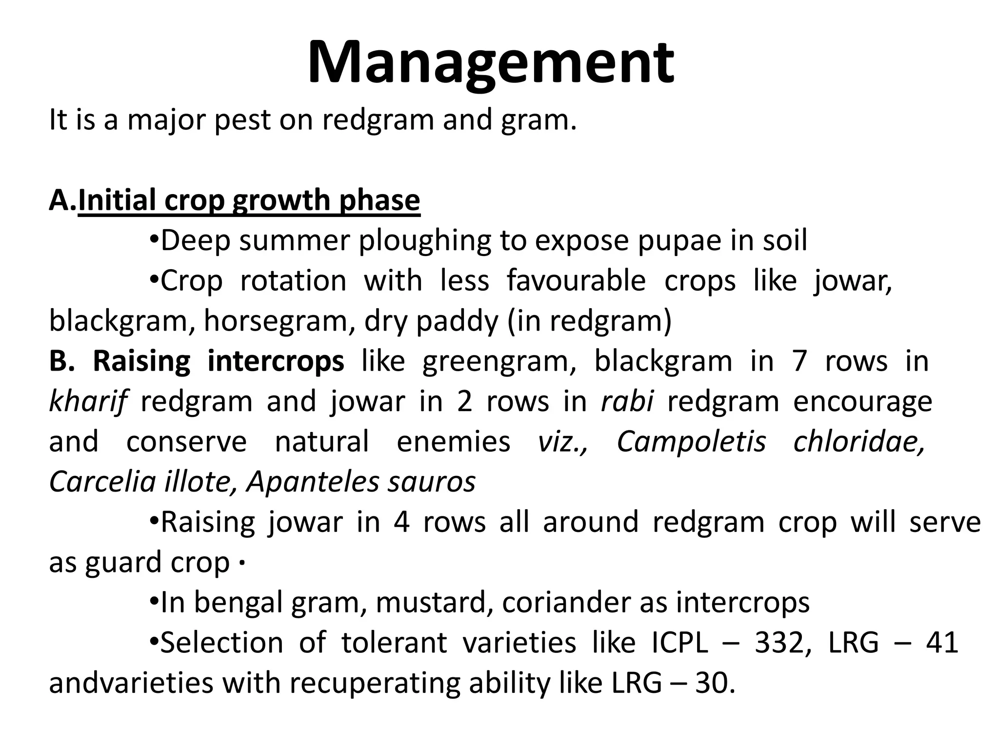 Insect pest of red gram | PPTX