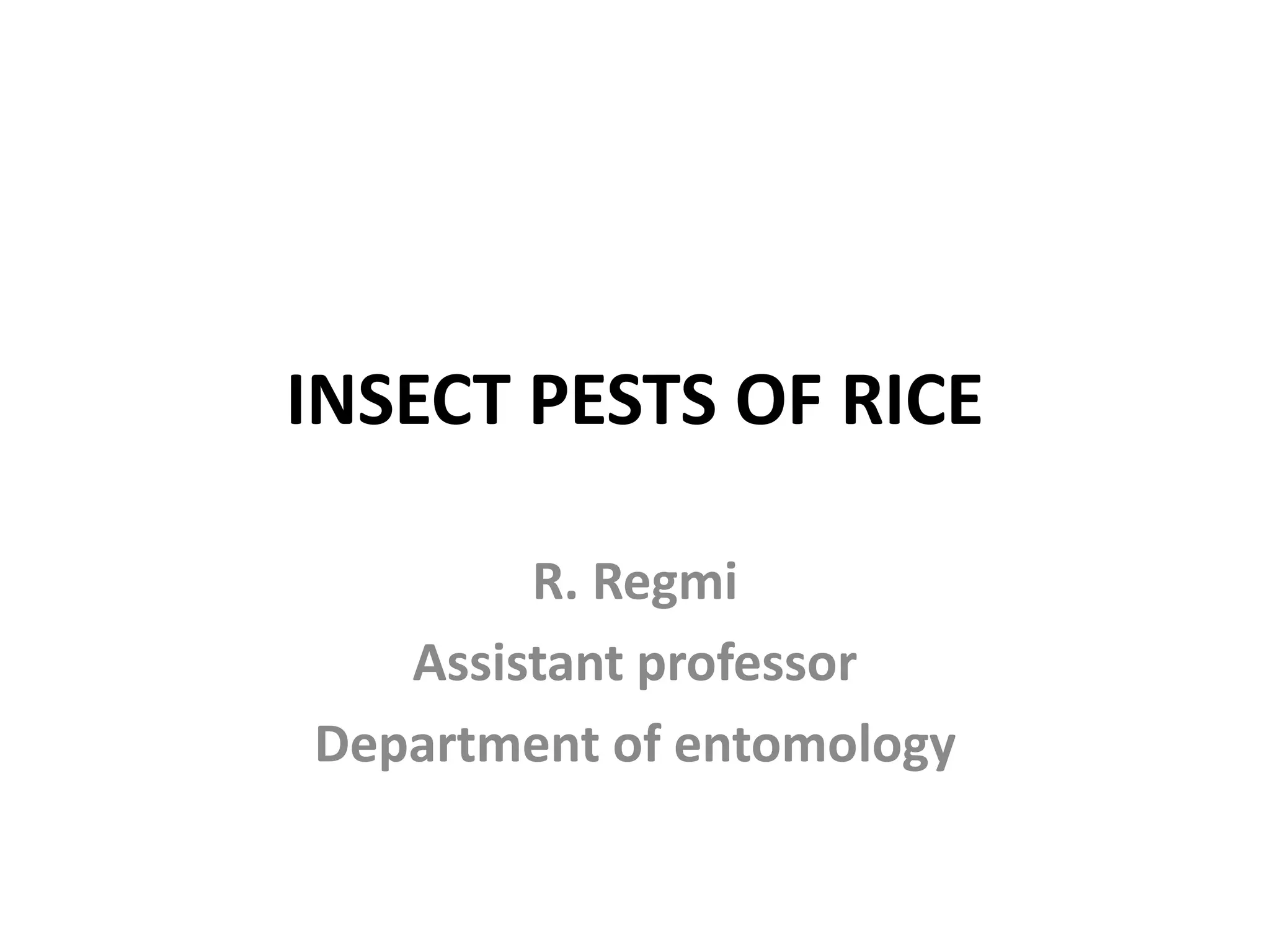 Insect pest of rice | PPTX