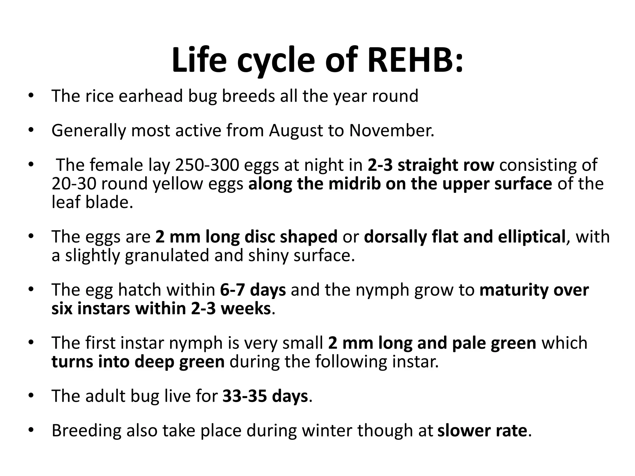 Insect pest of rice | PPTX