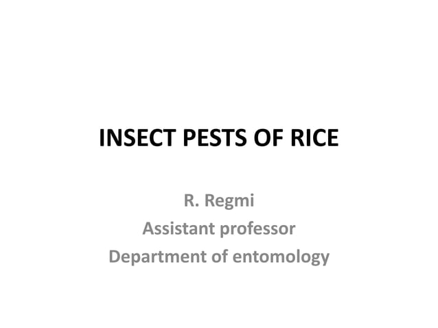 Insect pest of rice | PPTX | Agriculture | Industries