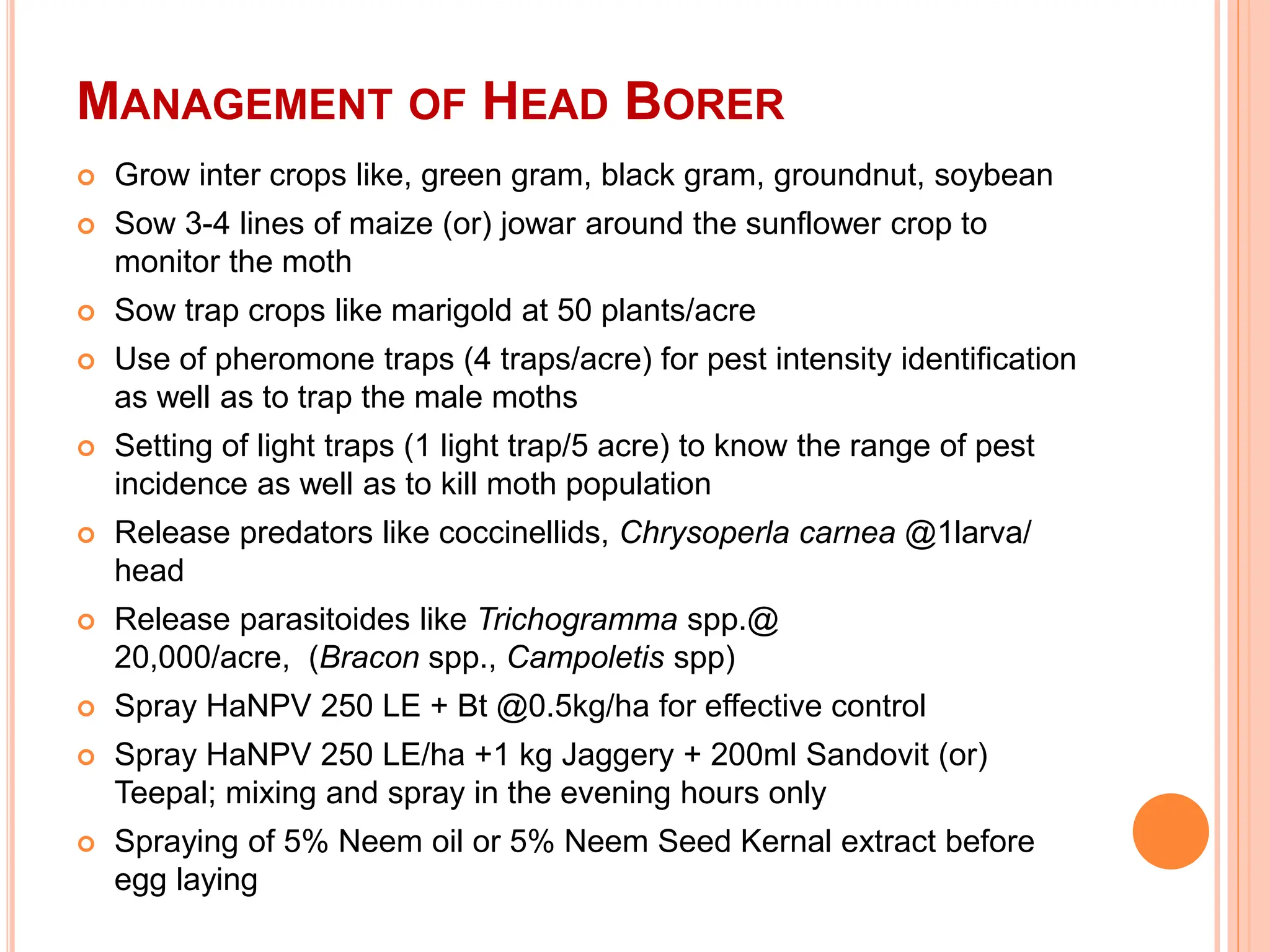 Insect Pest of sun flower Anand kum.pptx
