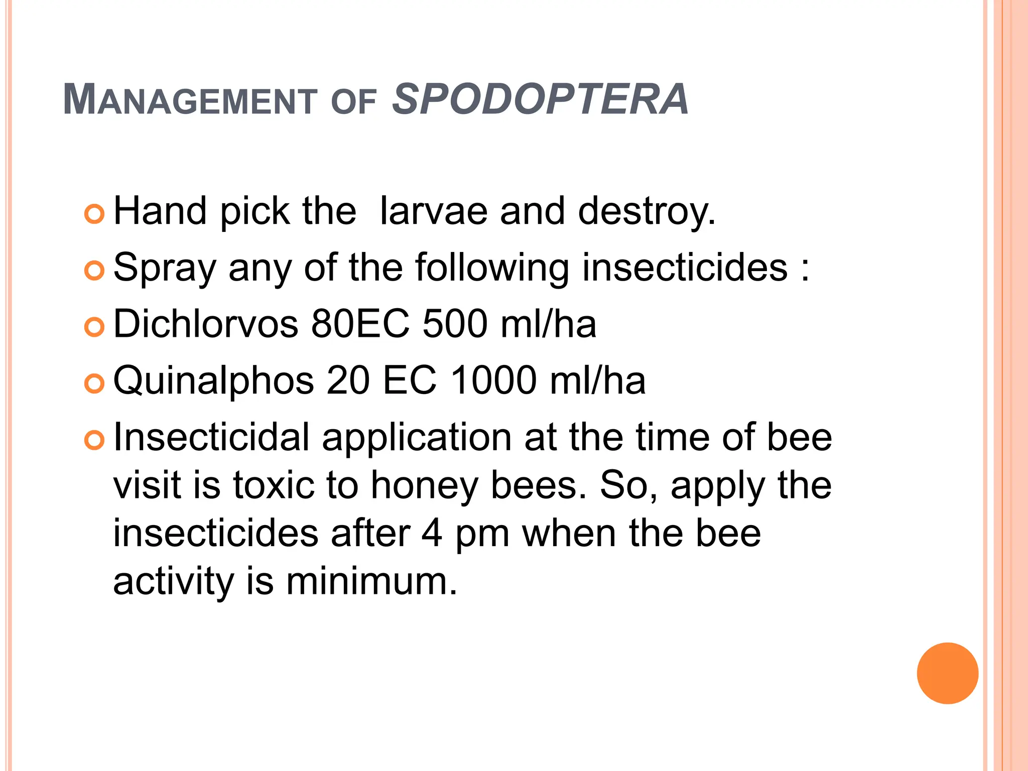 Insect Pest of sun flower Anand kum.pptx | Agriculture | Industries