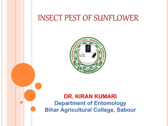 Insect Pest of sun flower Anand kum.pptx | Agriculture | Industries