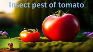 Insect pest of tomato, department of agricultural entomogy | PPTX
