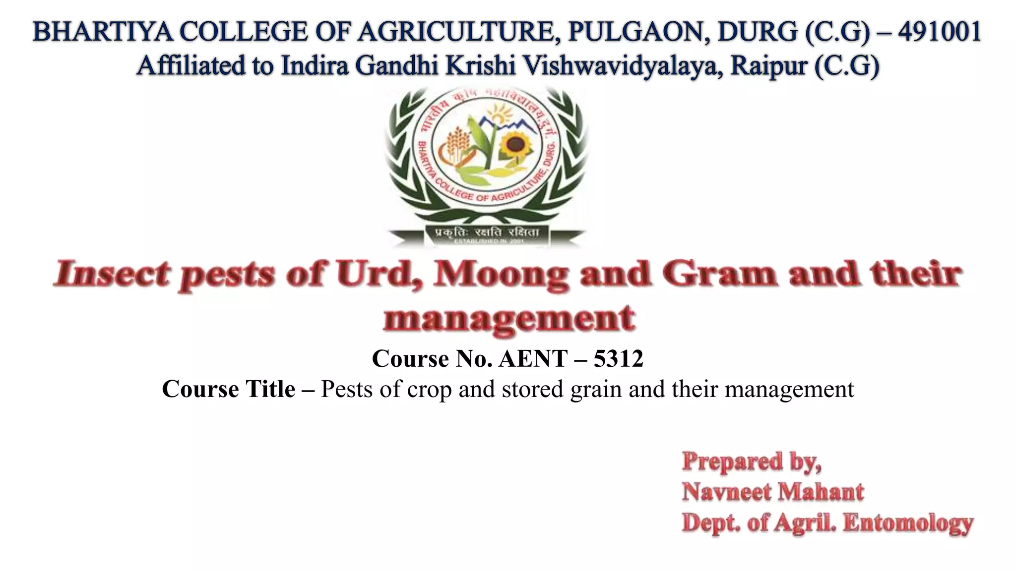 Insect pest of urd, moong and gram and their management | PPTX