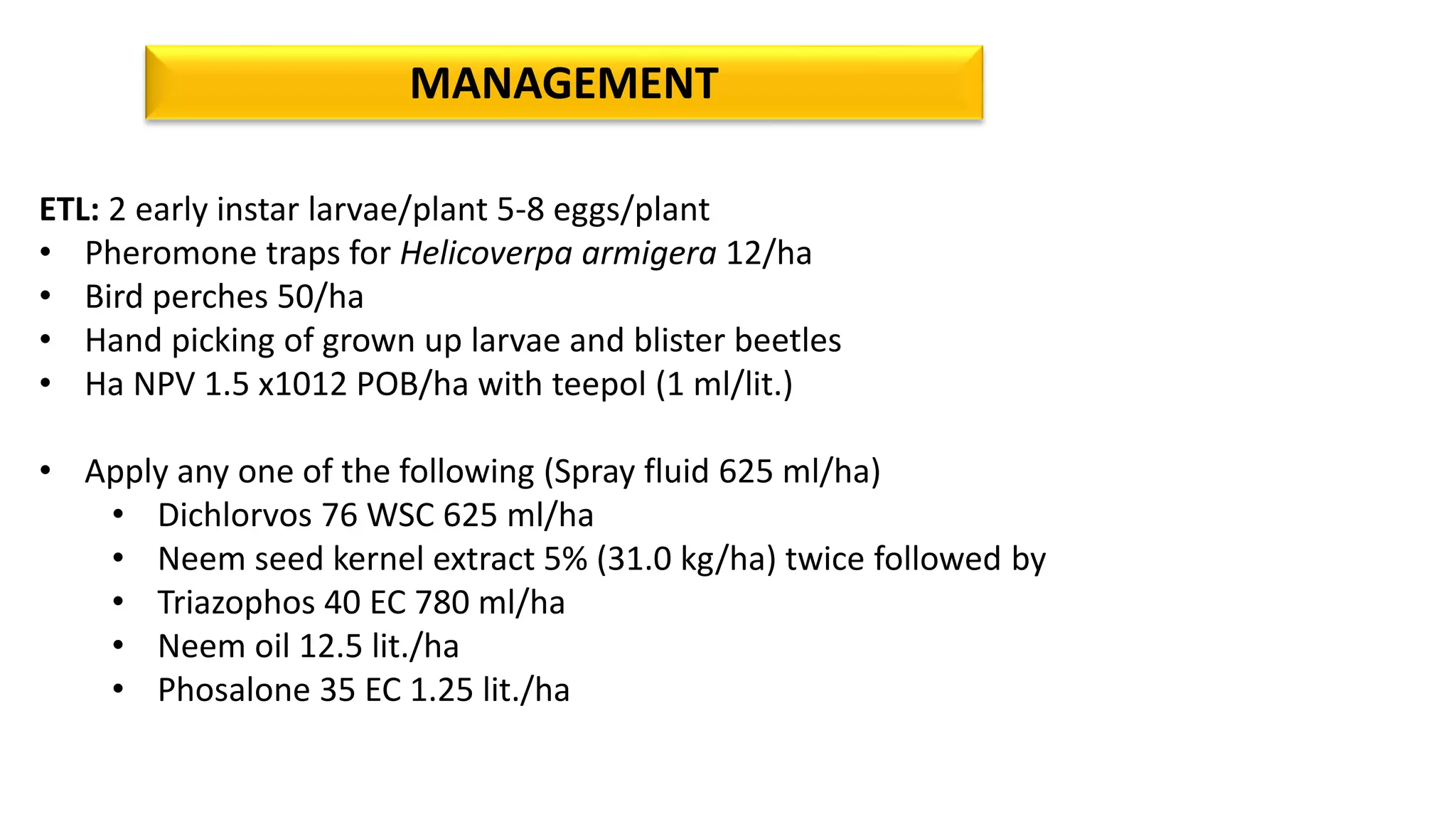 Insect pest of urd, moong and gram and their management | PPTX
