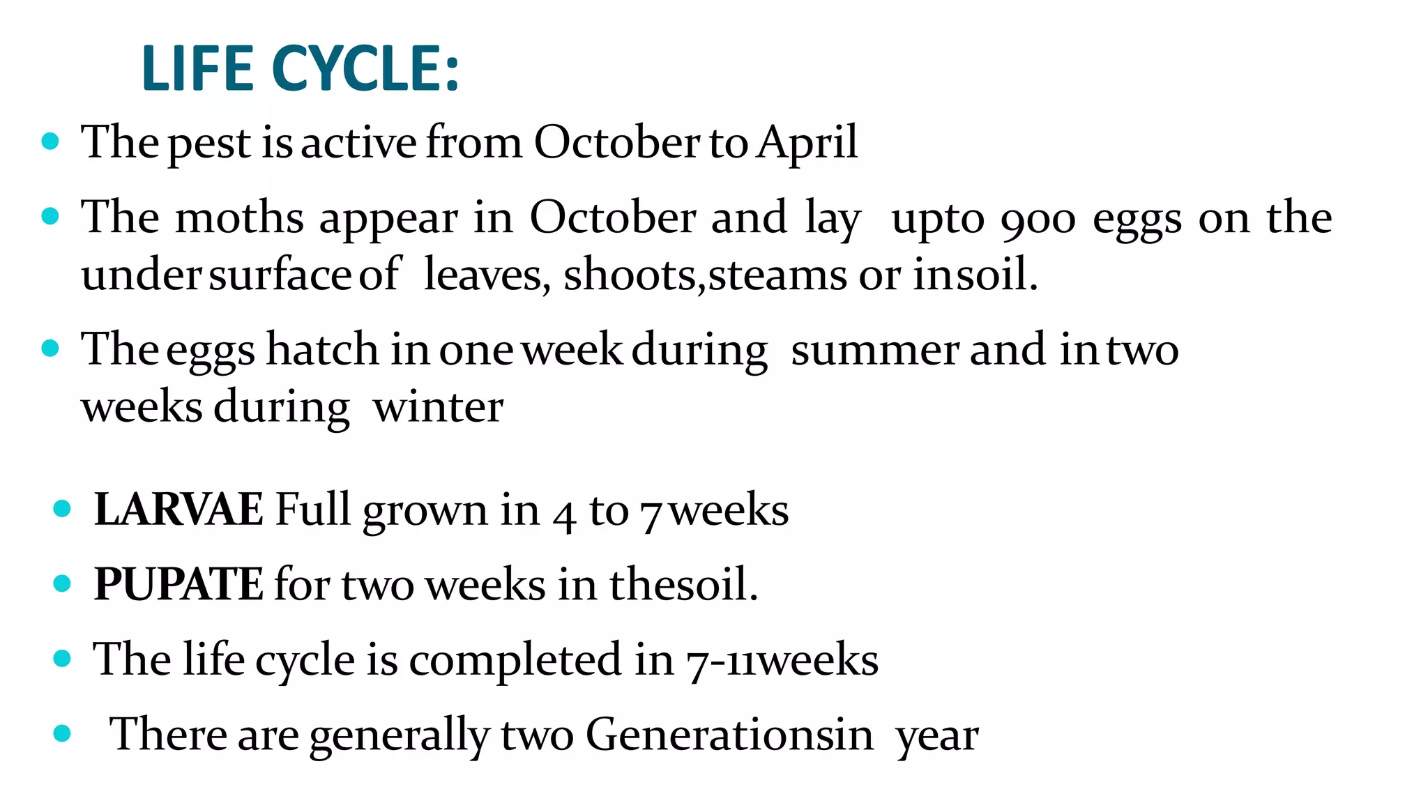 Insect pest of urd, moong and gram and their management | PPTX