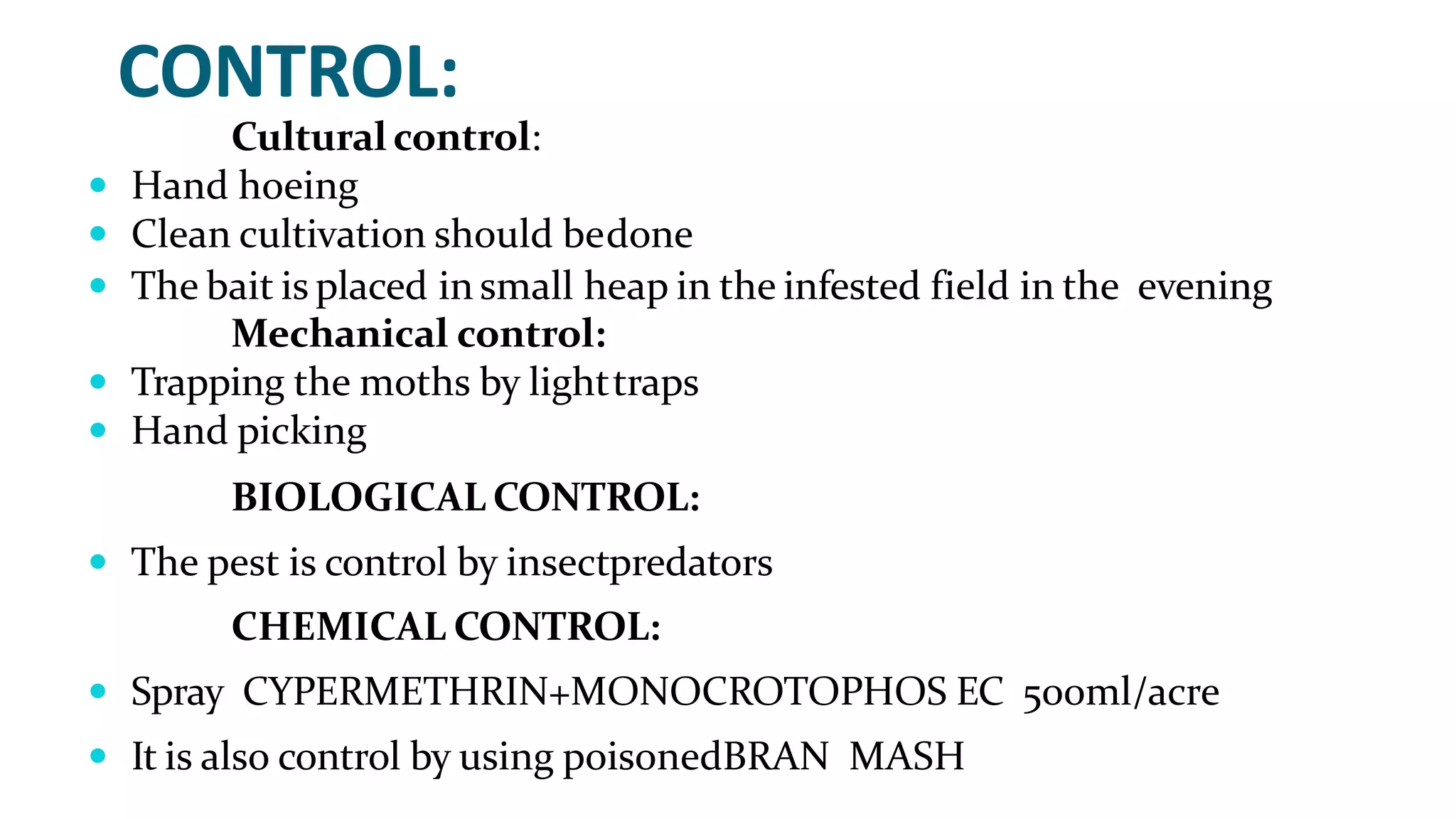 Insect pest of urd, moong and gram and their management | PPTX