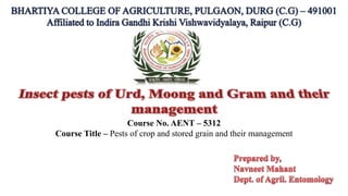 Insect pest of urd, moong and gram and their management | PPTX