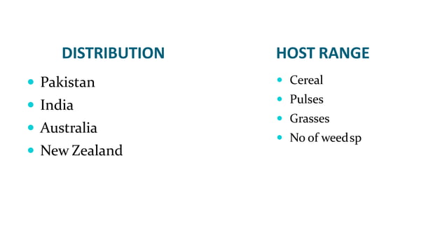 Insect pest of urd, moong and gram and their management | PPTX