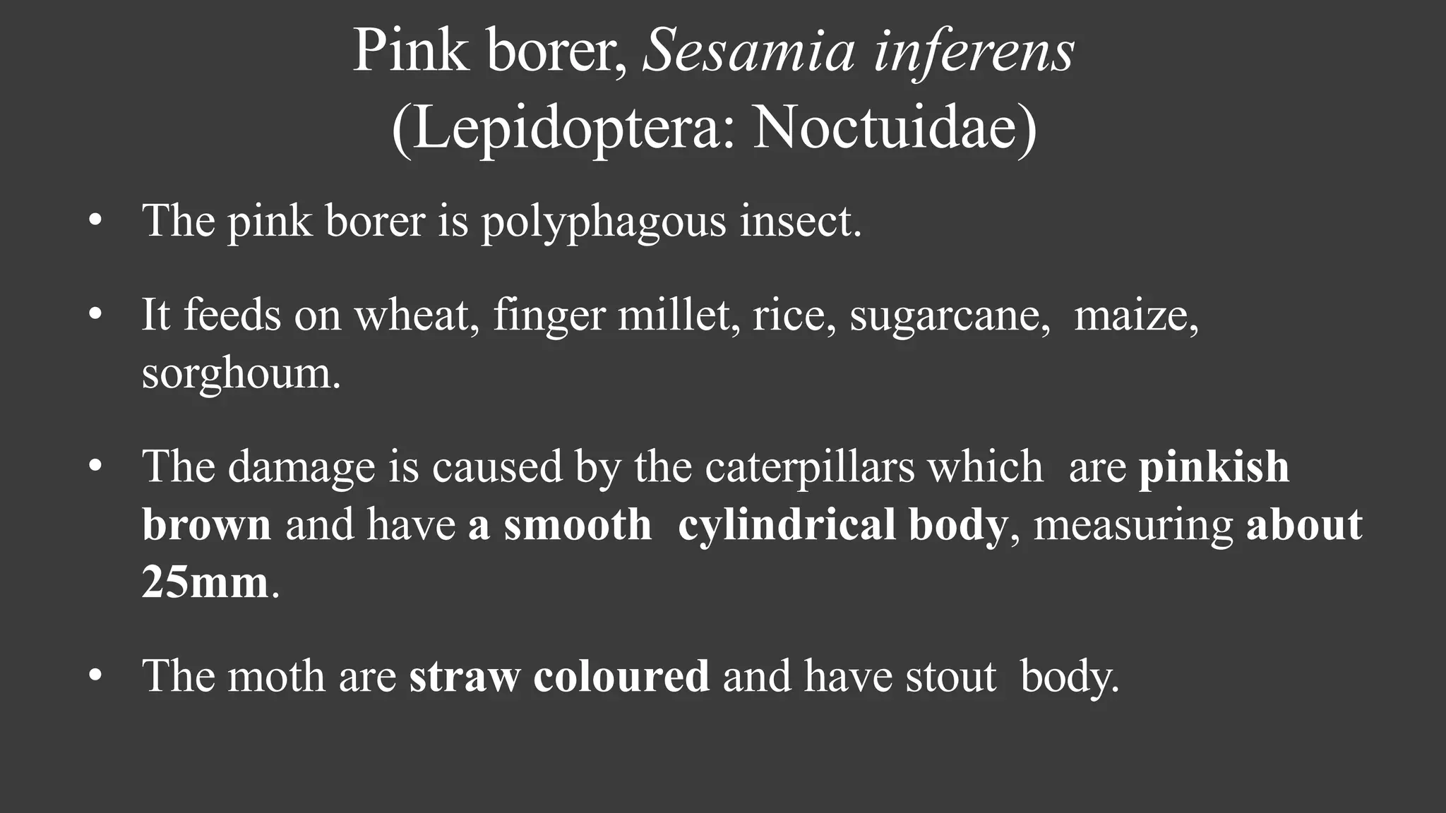 Insect pests of wheat and their management | PPTX