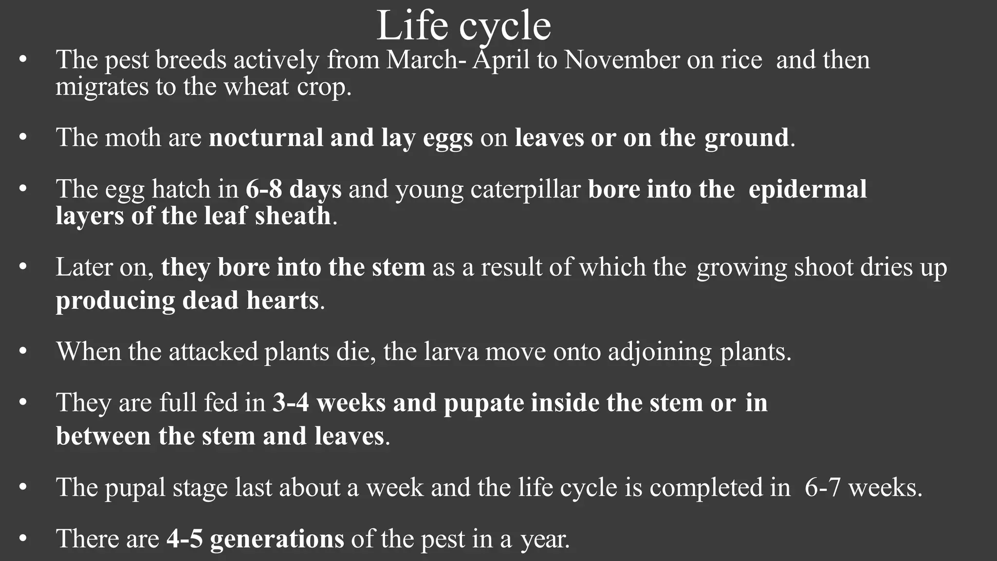 Insect pests of wheat and their management | PPTX