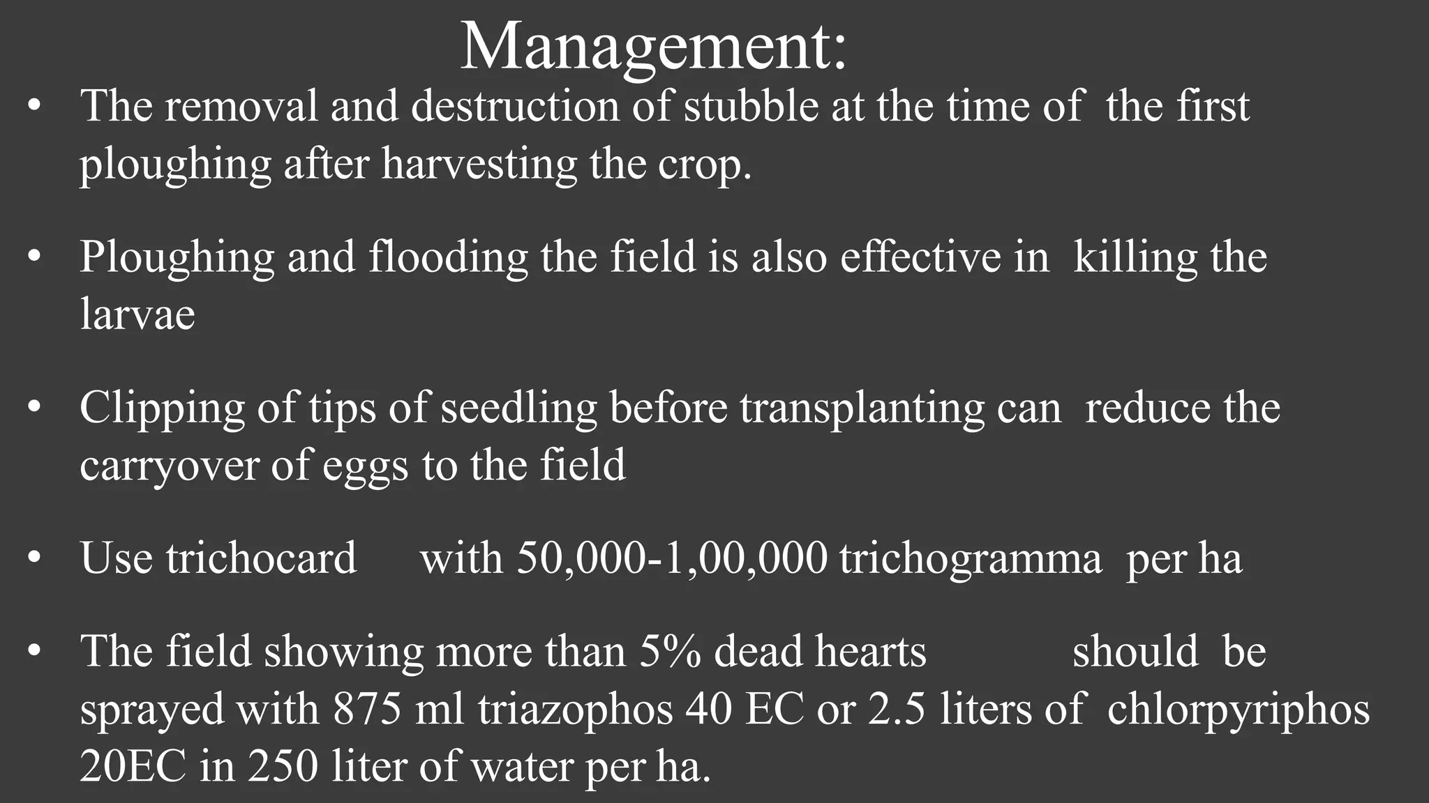 Insect pests of wheat and their management | PPTX