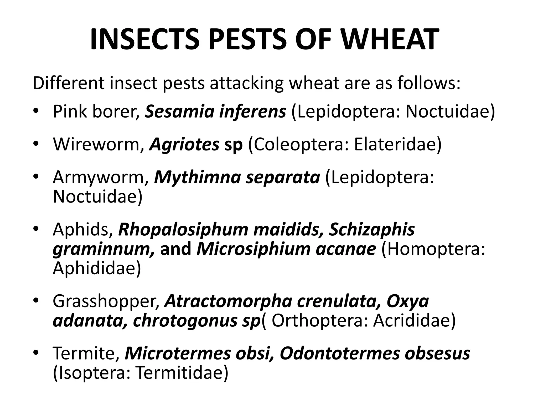 Insect pest of wheat | PPTX
