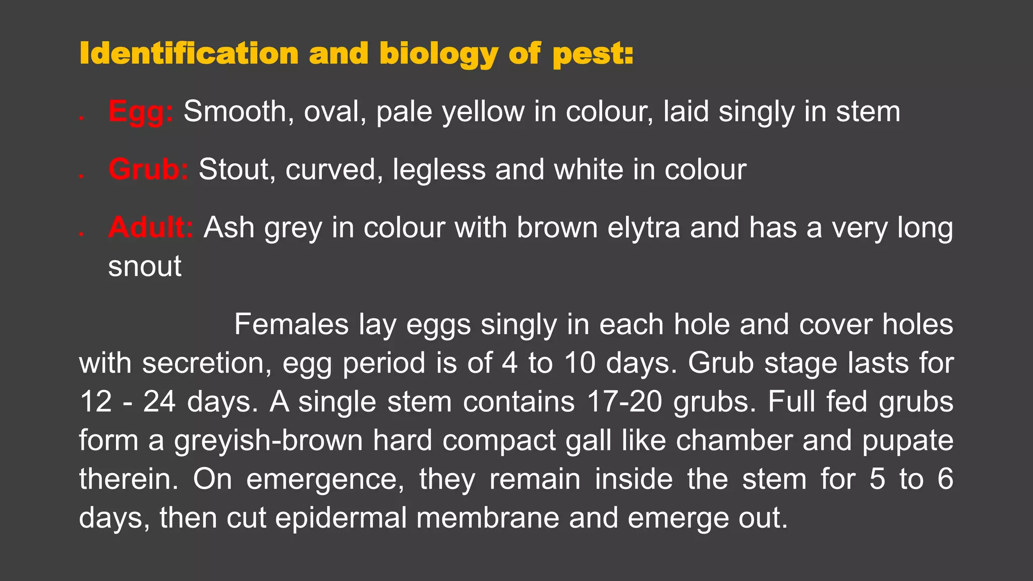 Insect pests of amaranthus and moringa | PPTX