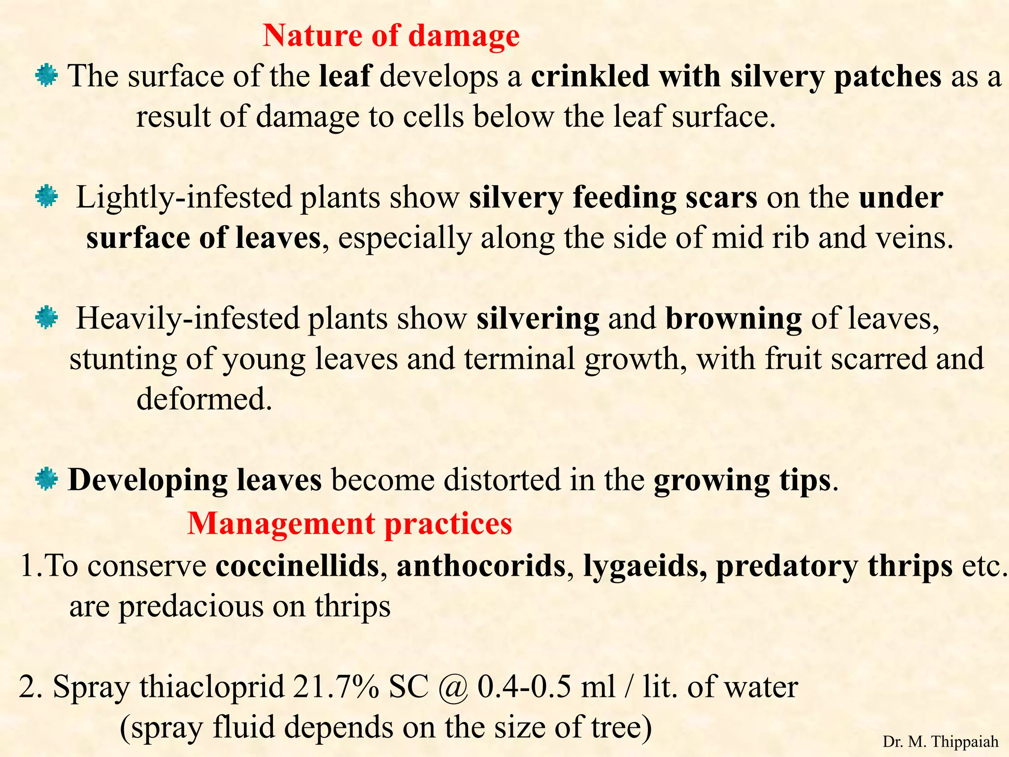 Insect pests of apple | PDF