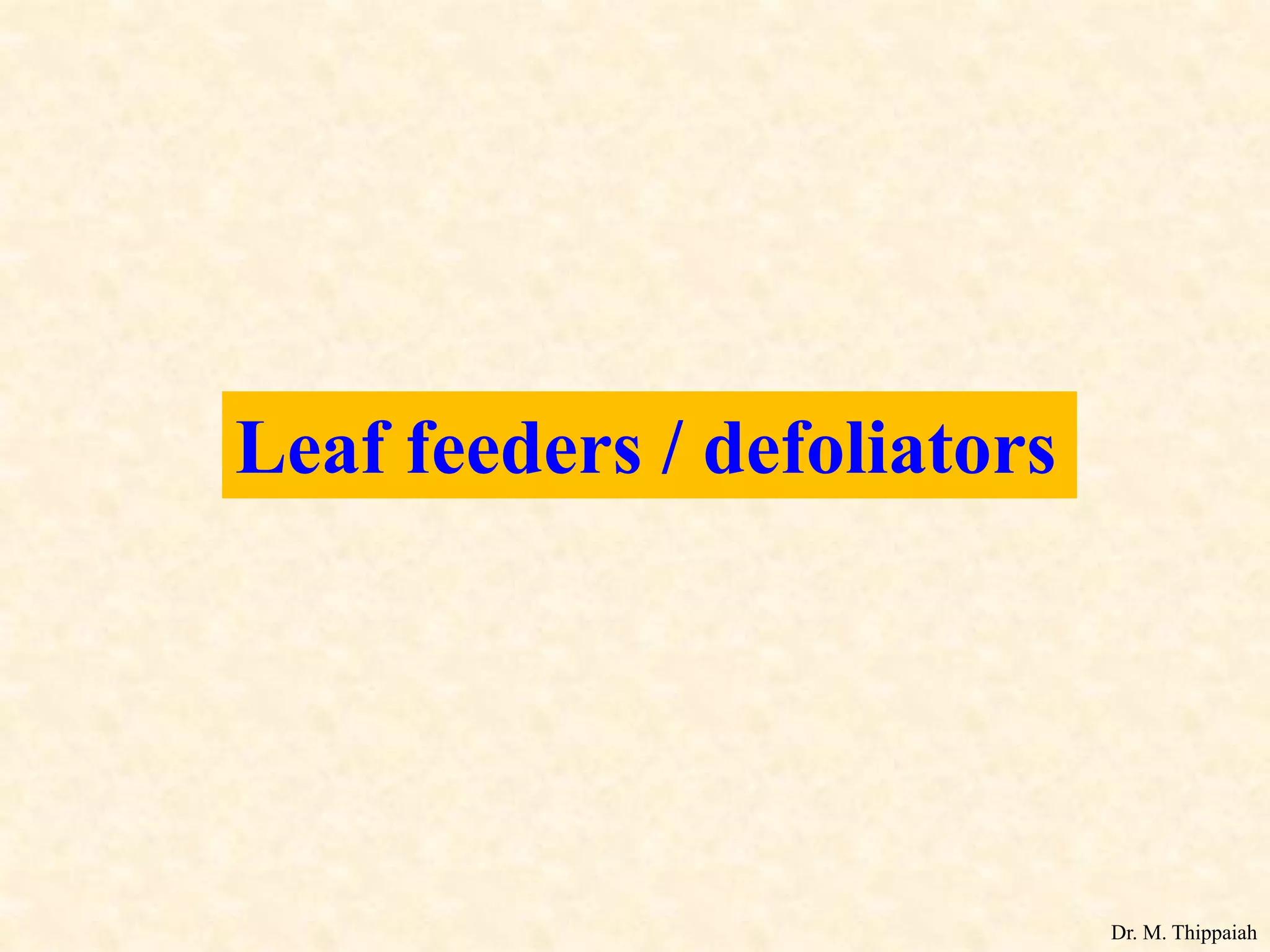 Insect pests of apple | PDF