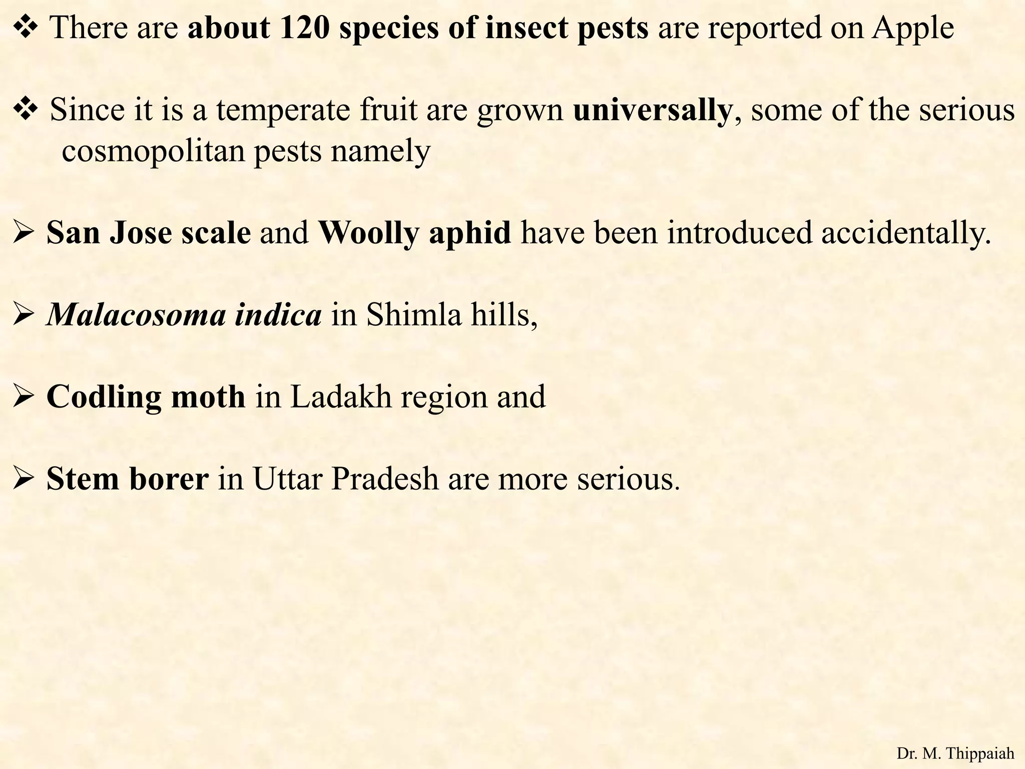 Insect pests of apple | PDF