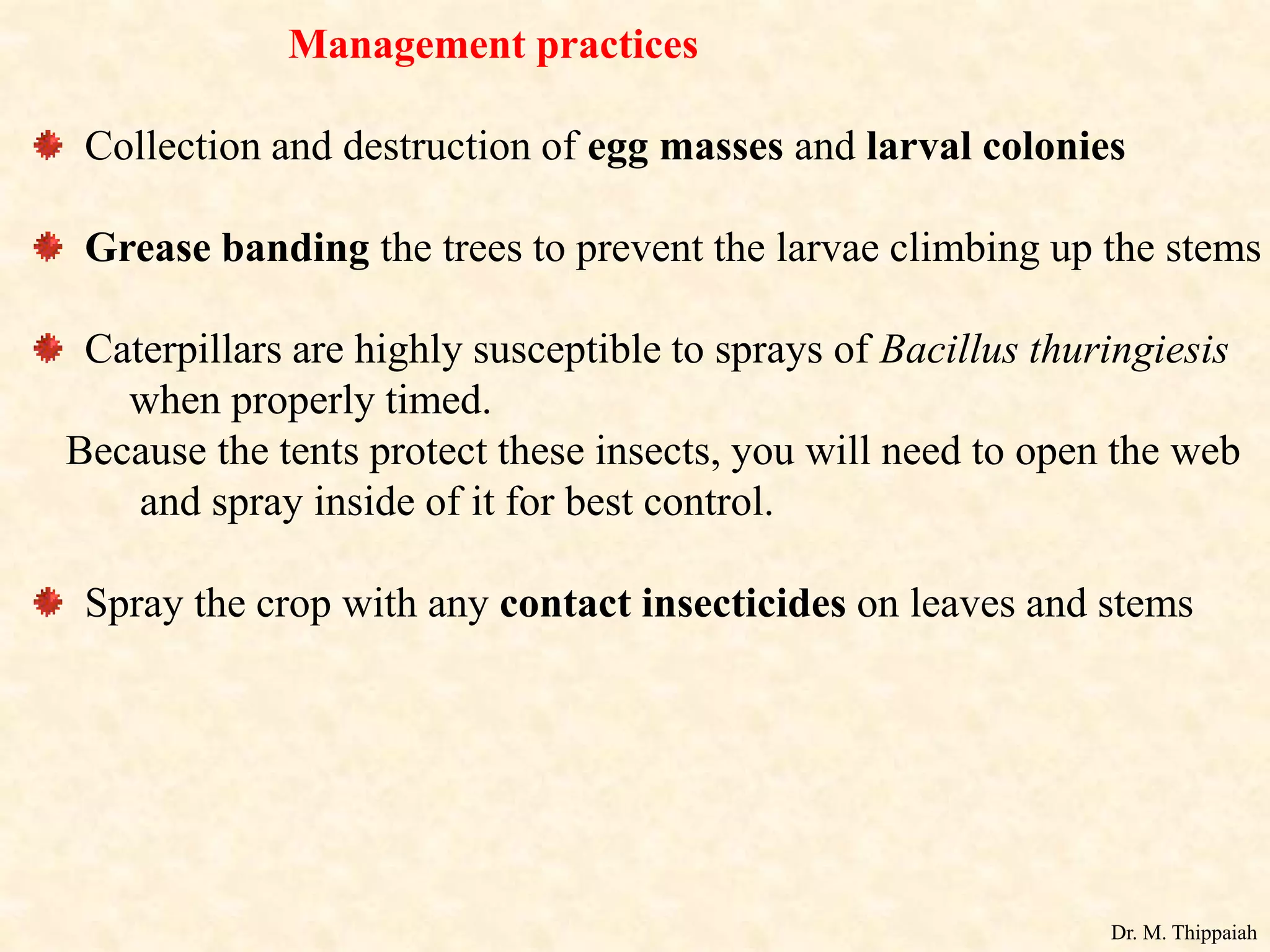 Insect pests of apple | PDF
