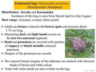 Insect pests of Arecanut | PDF