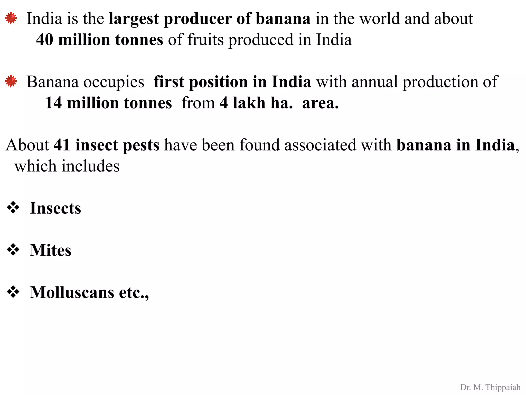 Insect pests of banana | PDF